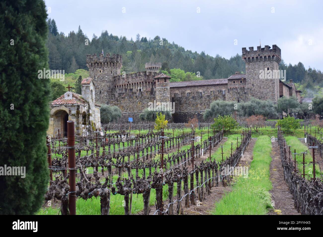 Wine country napa valley hi-res stock photography and images - Alamy