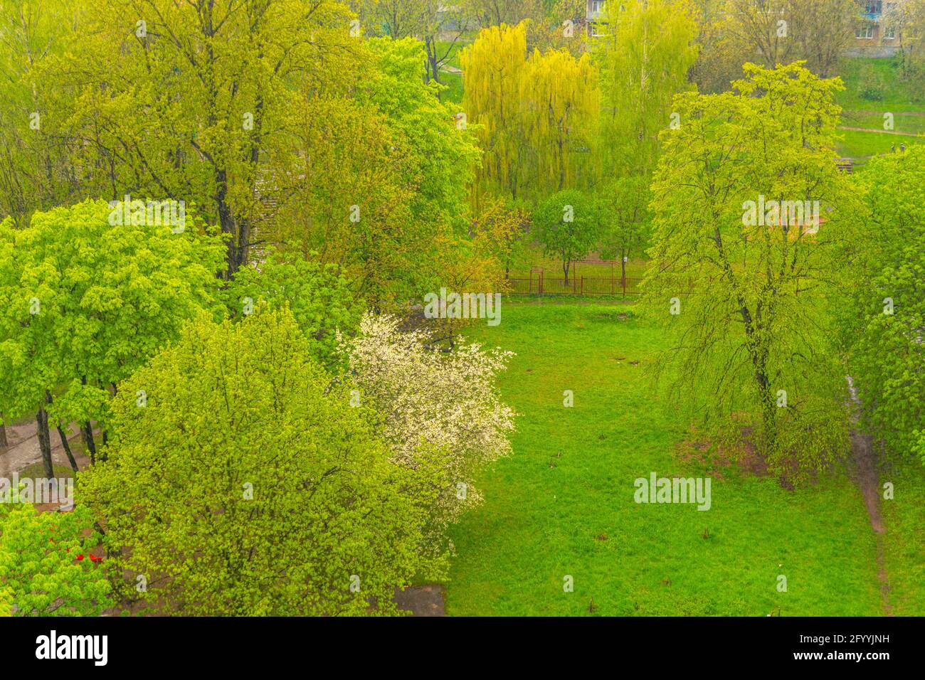 Heavy rain on a cloudy day against the background of flowering trees ...