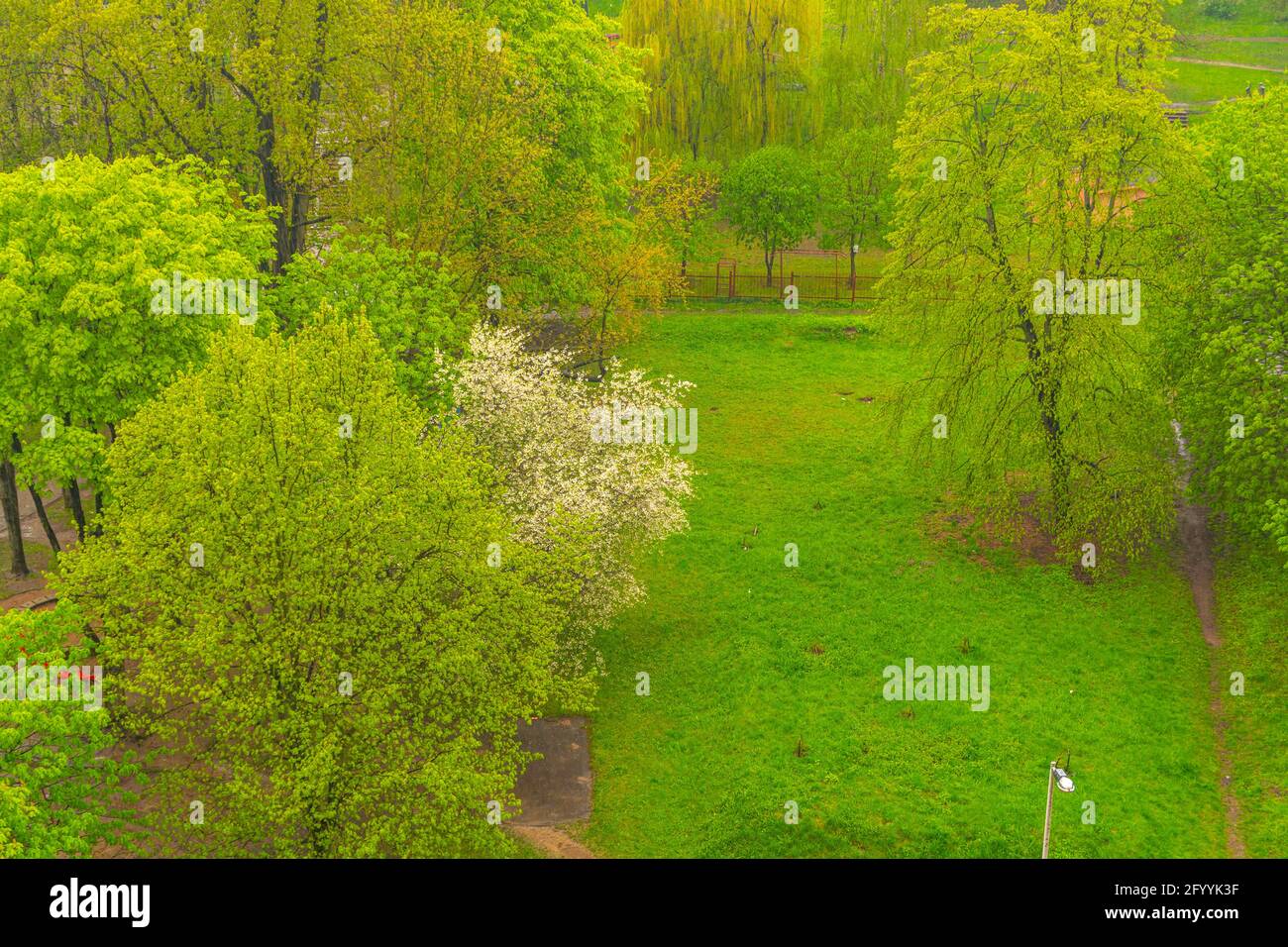 Heavy rain on a cloudy day against the background of flowering trees ...