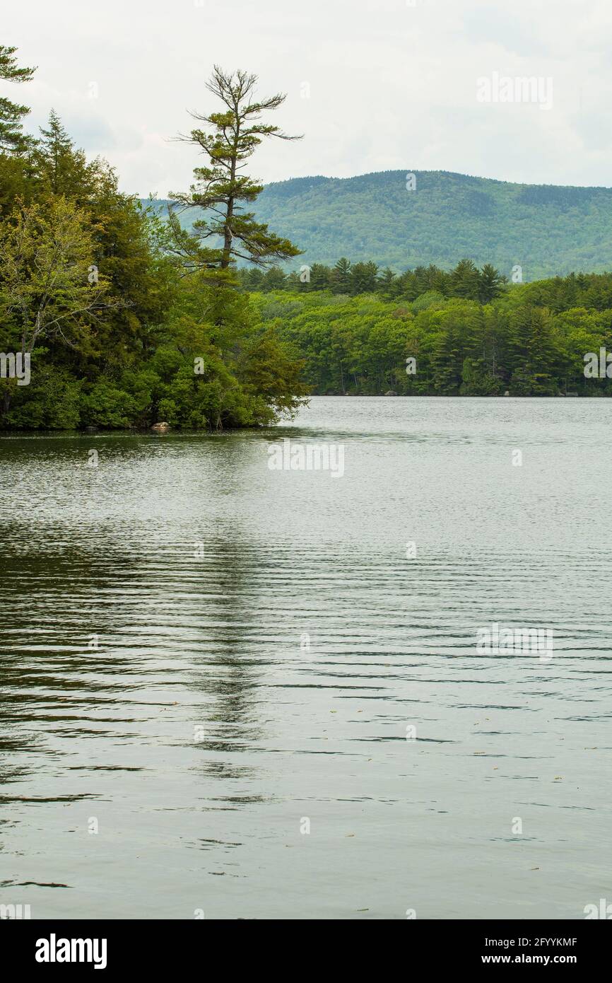 Golden Pond Was Filmed Where