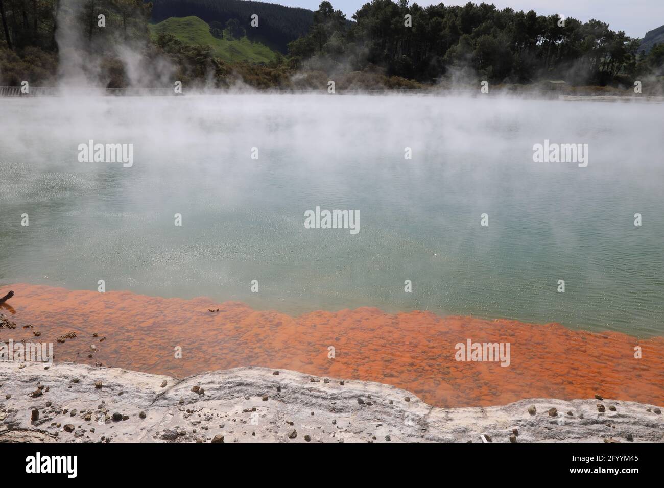 Wai-O-Tapu Thermalwunderland The Champagne Pool / Wai-O-Tapu Thermal ...