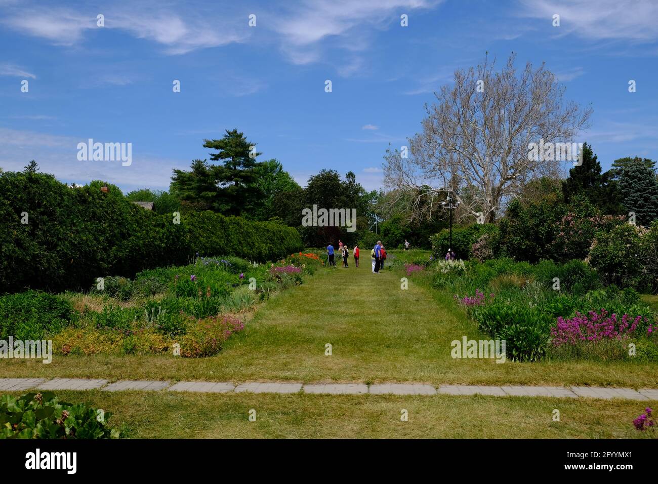 Small COVID crowds enjoying the flower beds in late spring at the ...