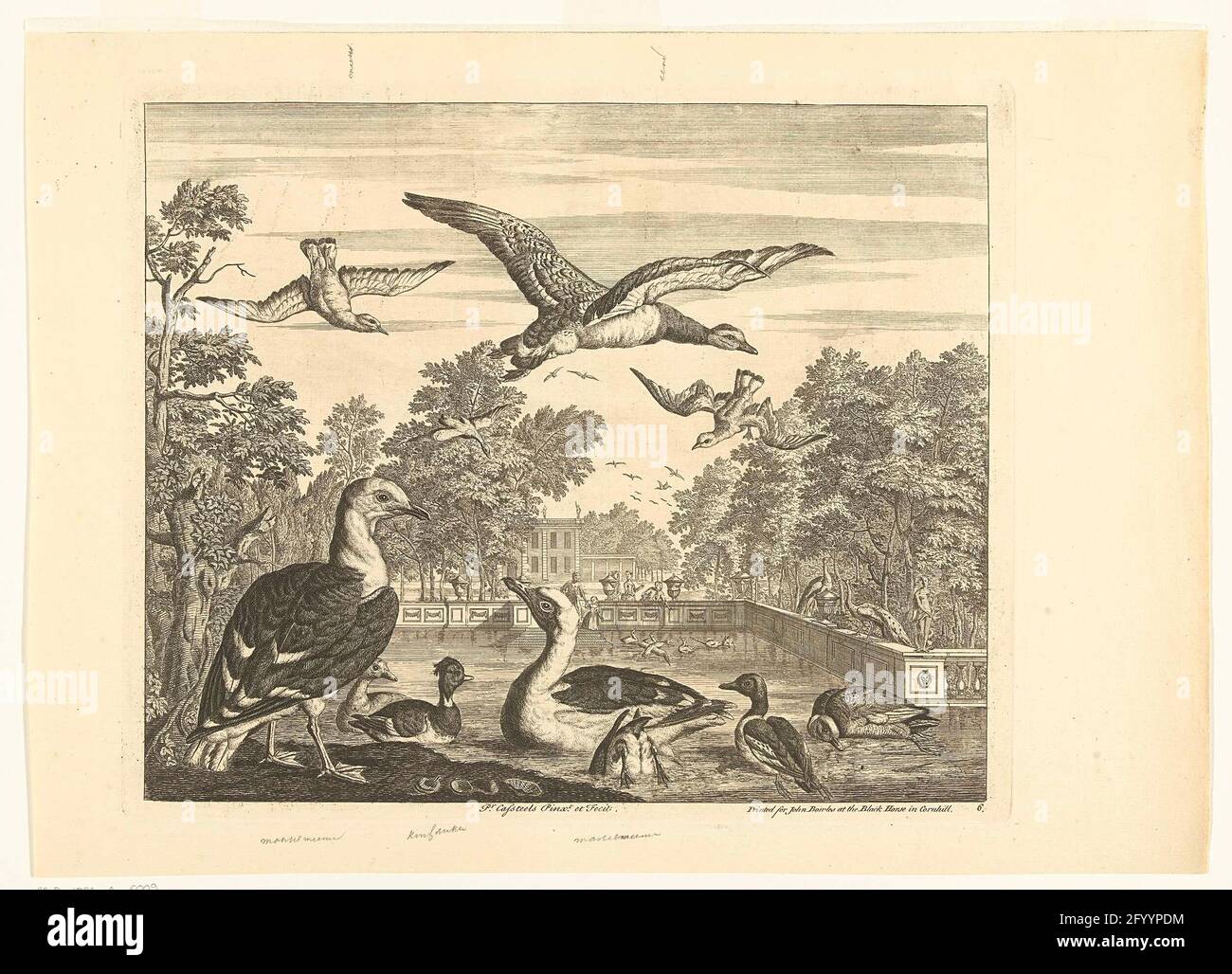 Bird pond different birds hi-res stock photography and images - Alamy