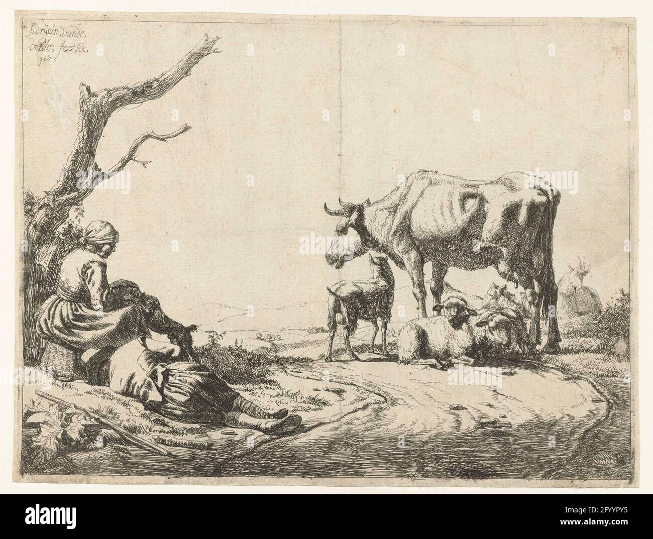 Shepherd and shepherd with cattle Stock Photo - Alamy