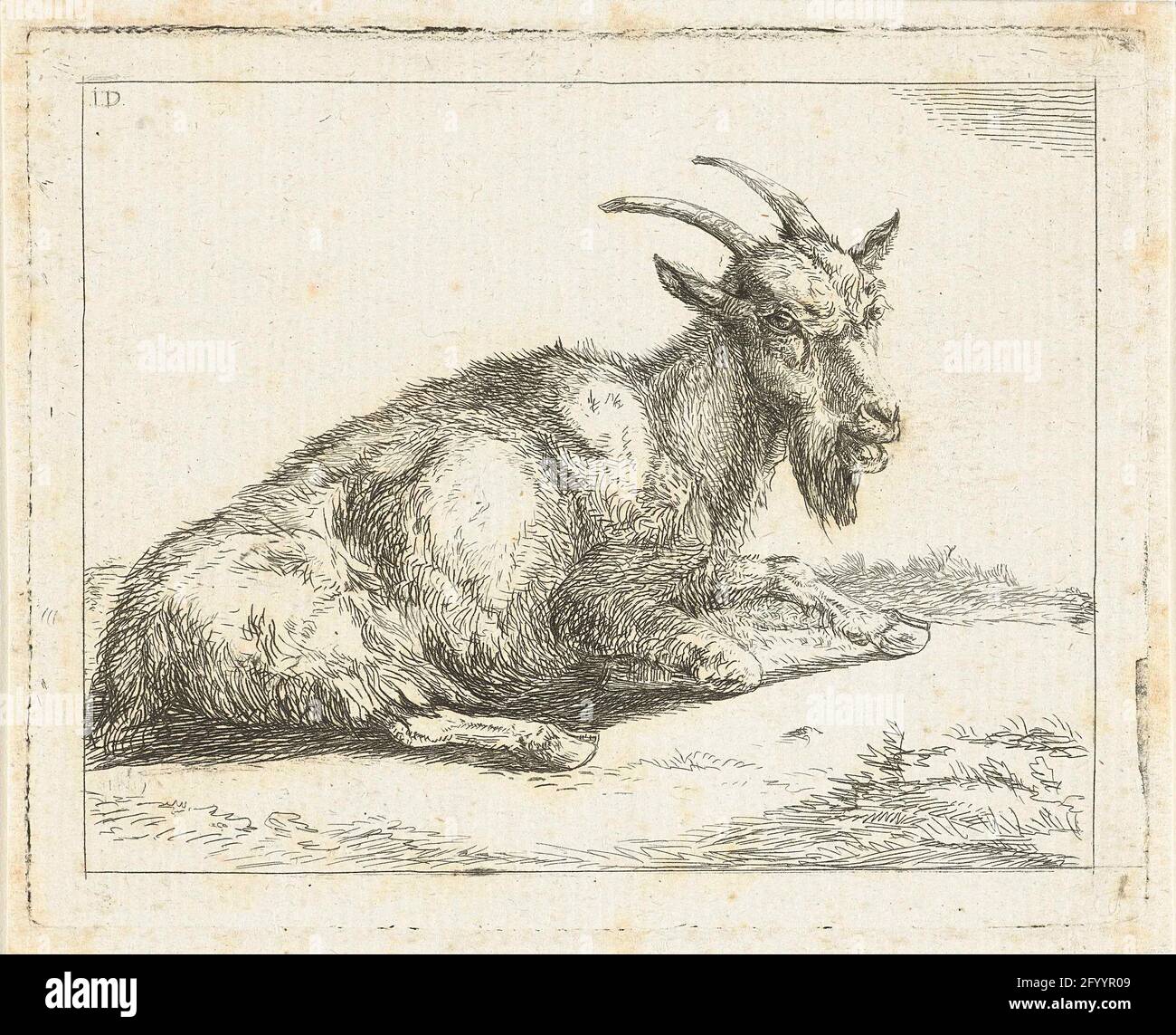 Goat realistic outline hi-res stock photography and images - Alamy