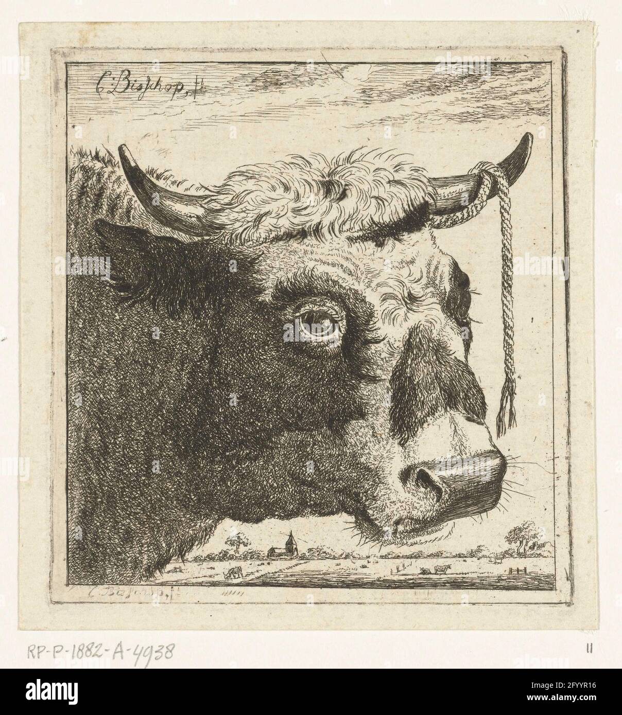 Bull inspired design hi-res stock photography and images - Alamy