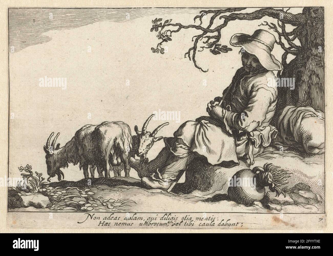 Landscape goat hero shepherd hi-res stock photography and images - Alamy