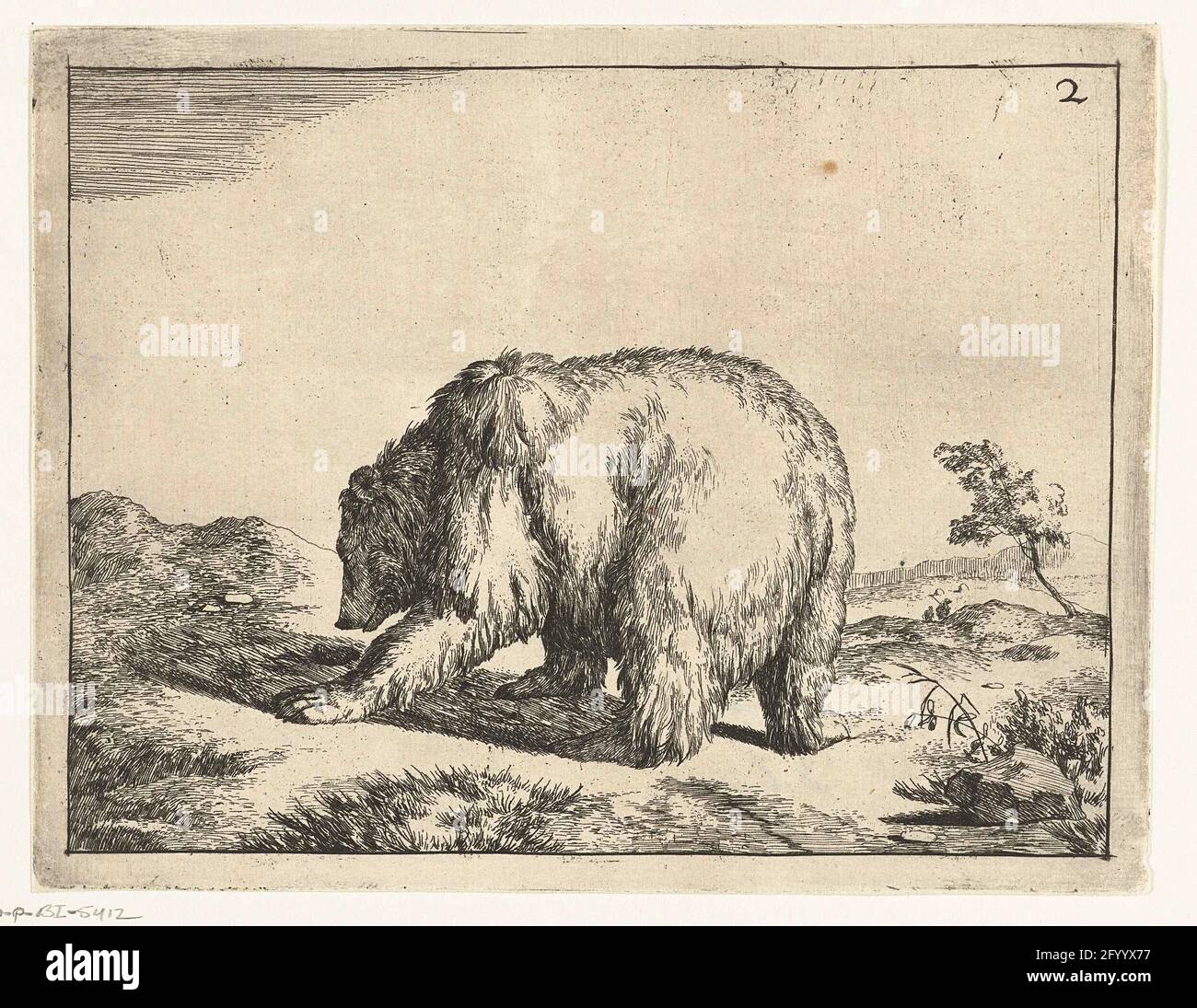 Standing bear, seen from behind; Bears Stock Photo - Alamy