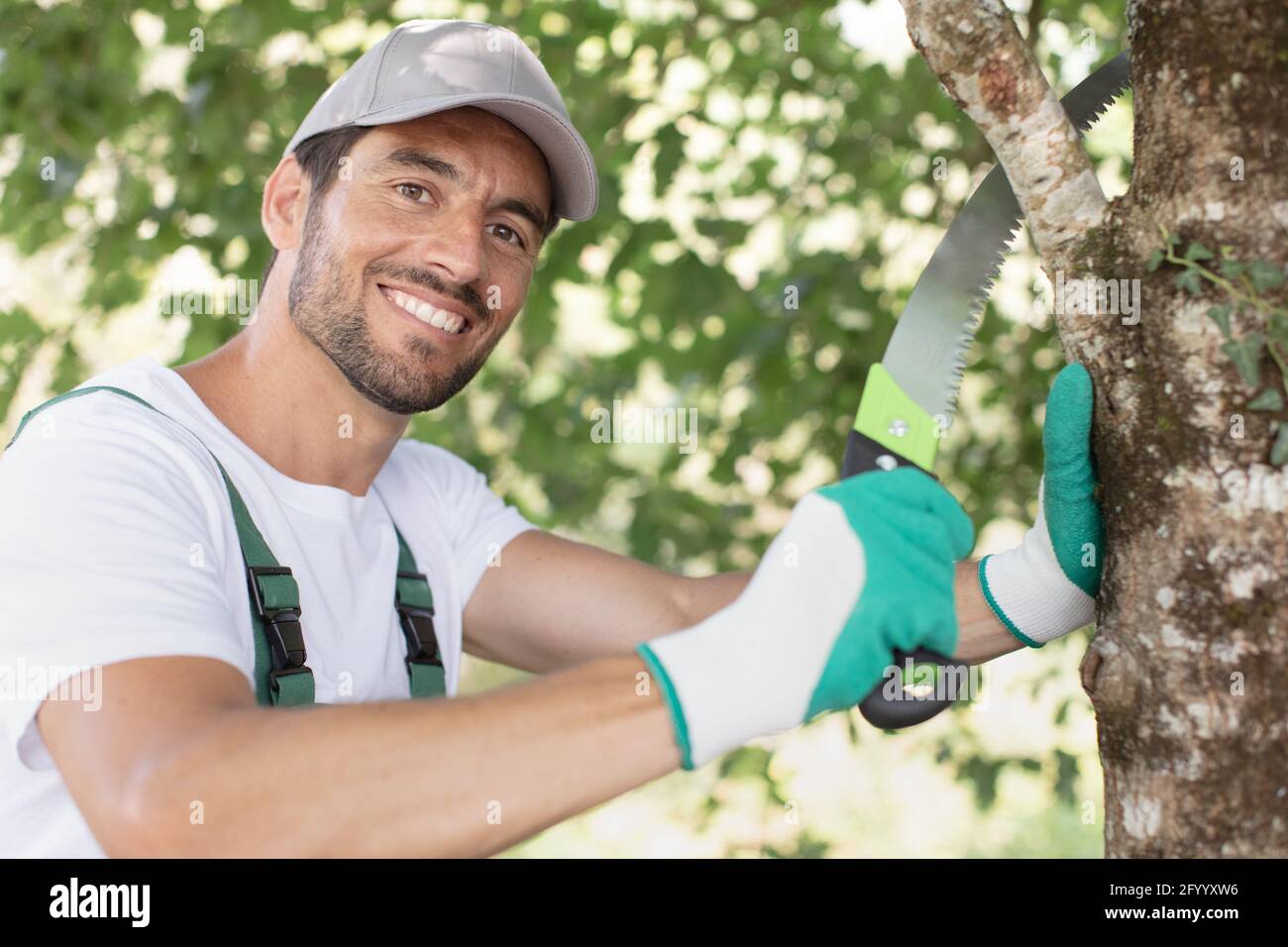 man sawing a tree branch Stock Photo - Alamy