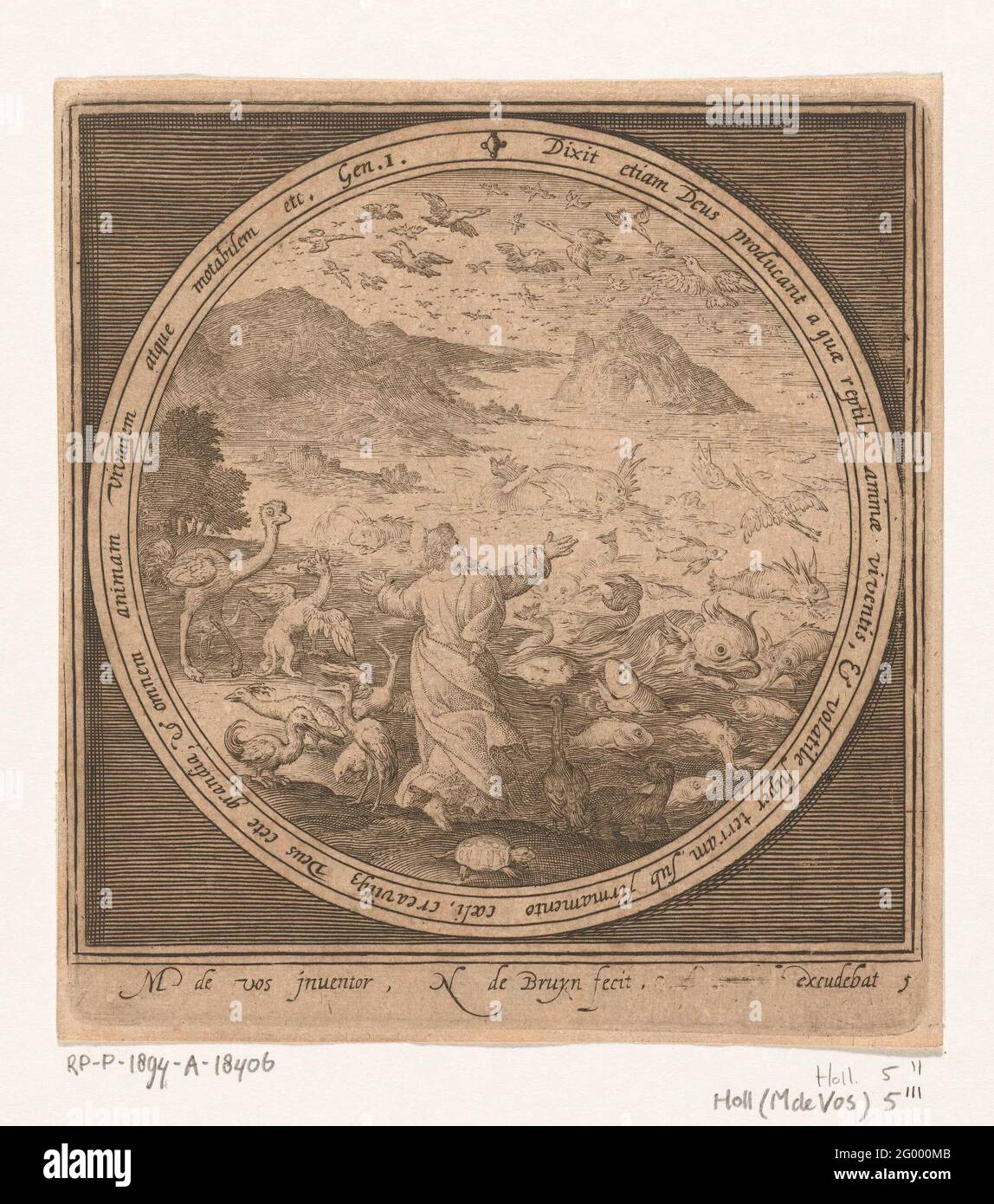 Fifth Day of Creation: God creates fish and birds; From creation to ...