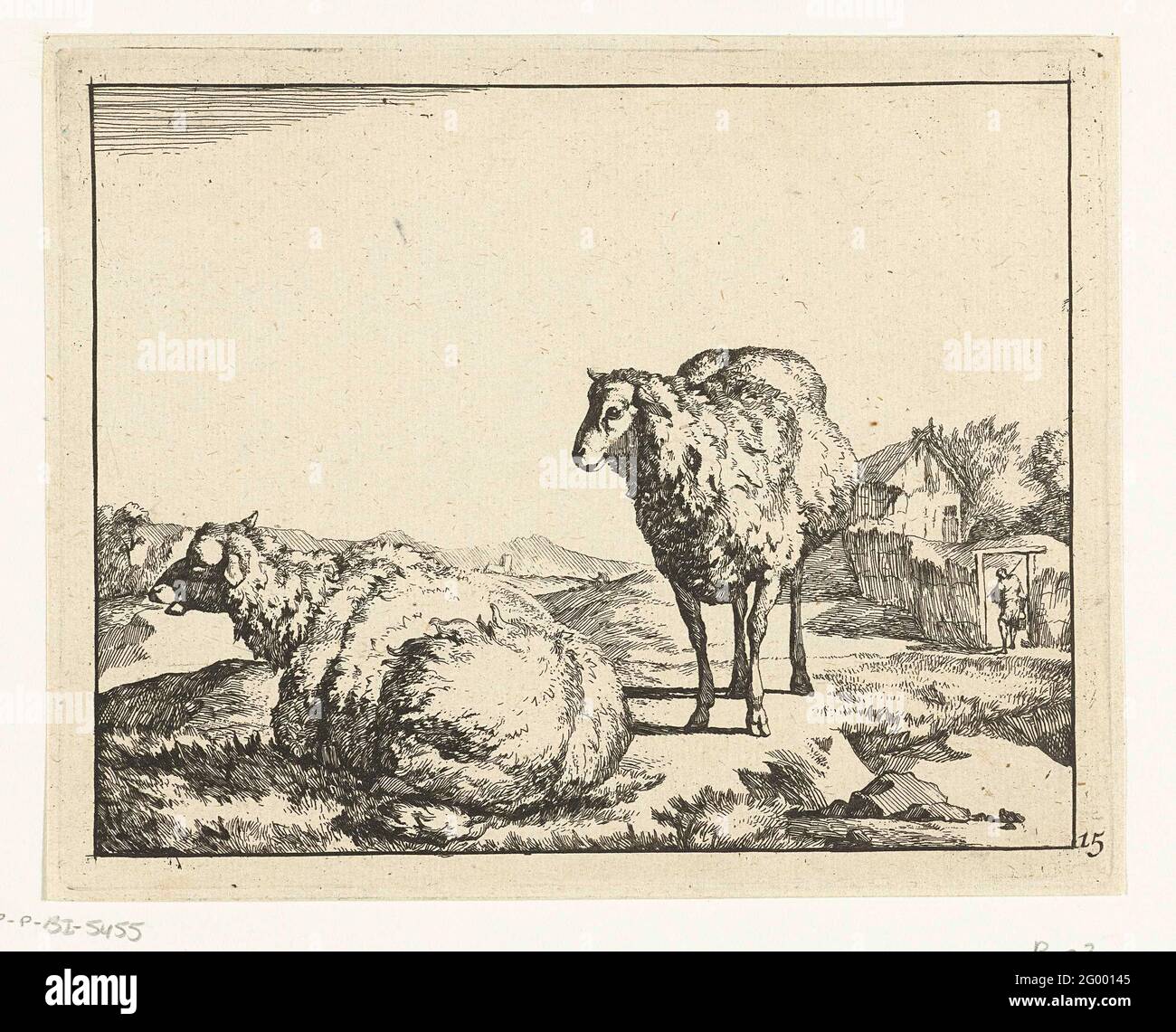 Standing and lying sheep with farm in background; Sheep Stock Photo - Alamy