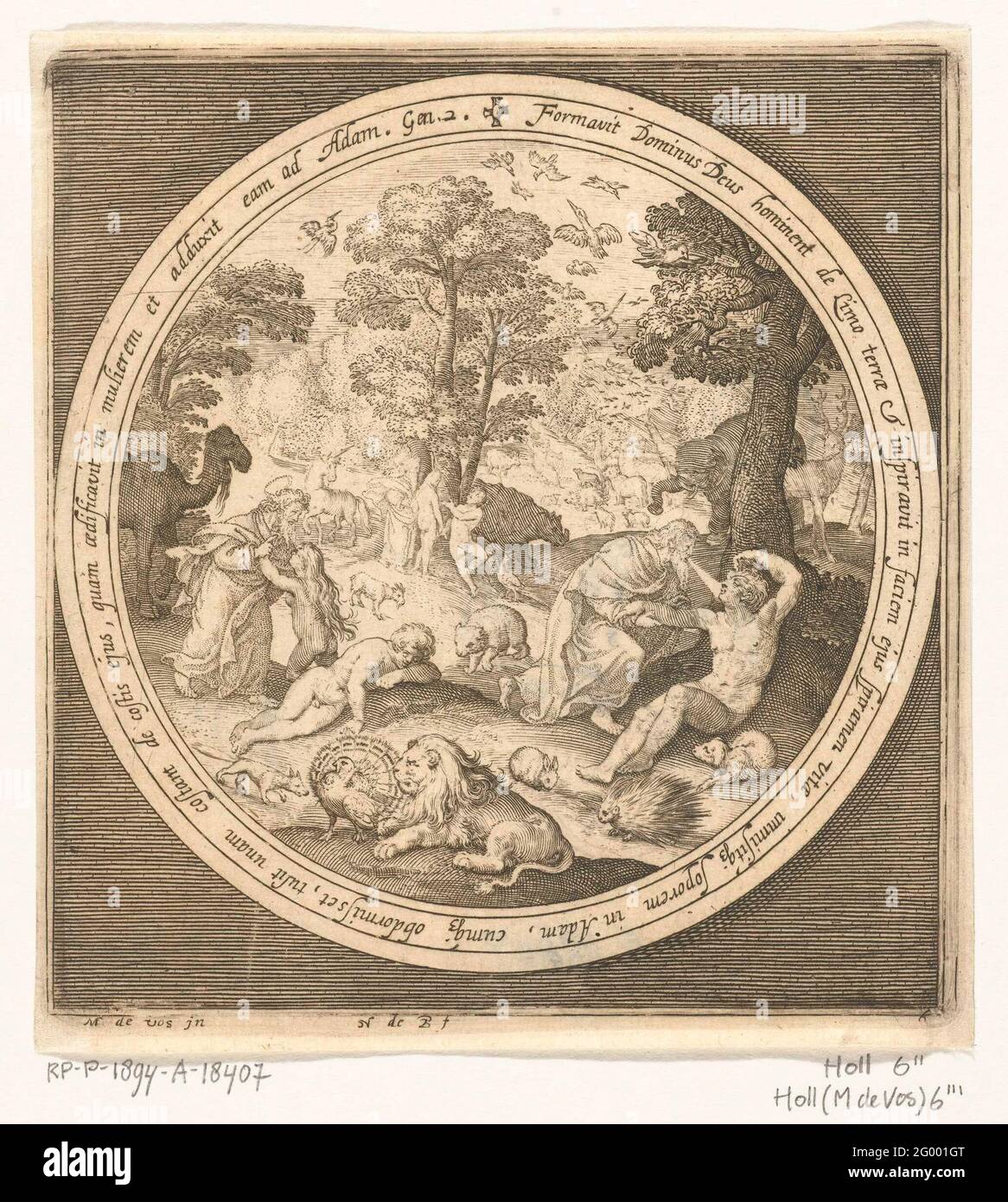 Sixth Day Of Creation