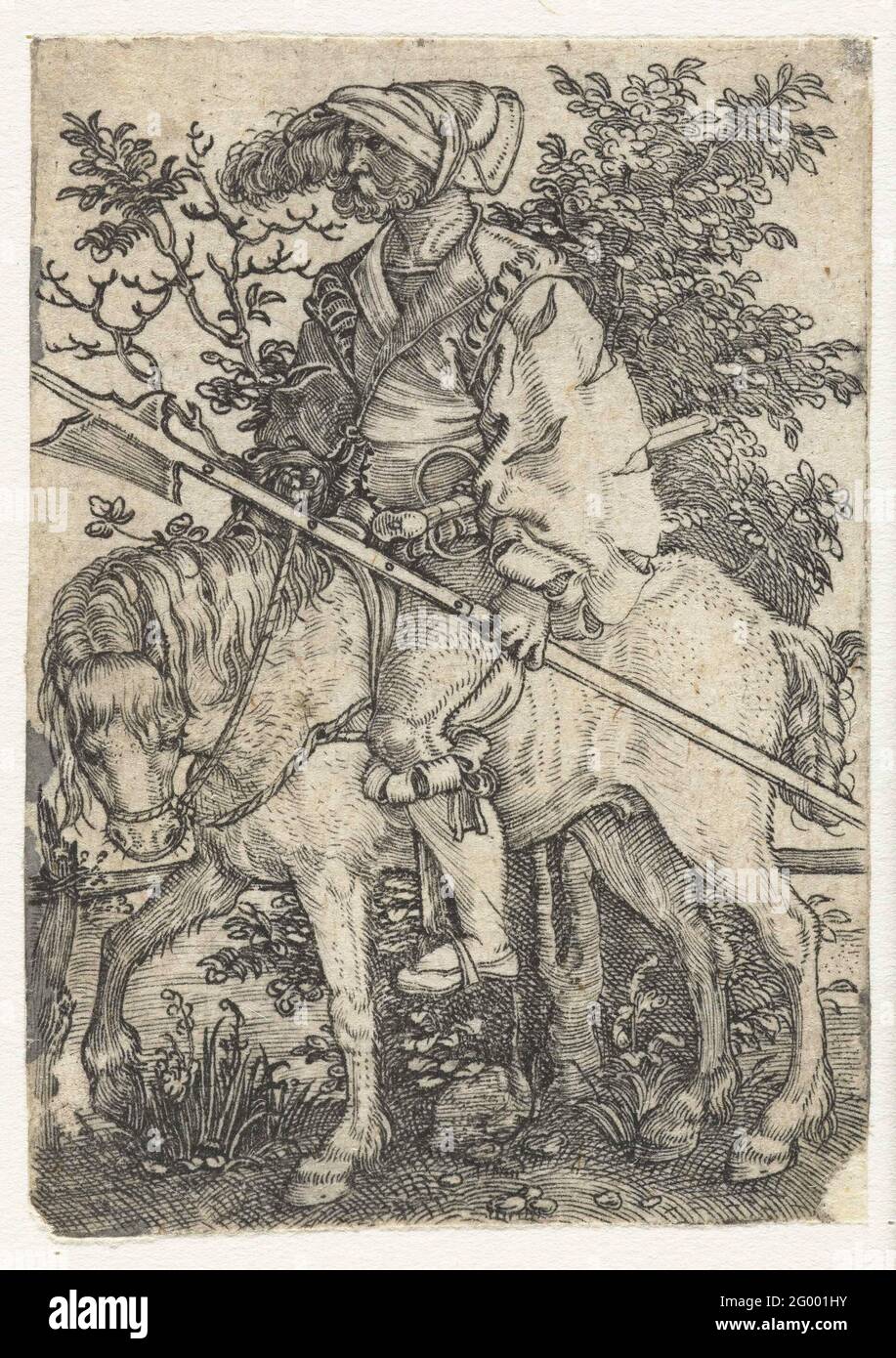 Haircut animal on horseback Stock Photo - Alamy