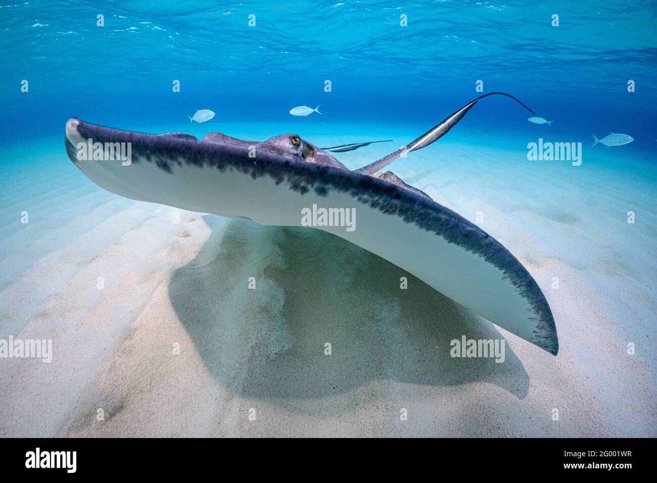 Underwater sand bar hi-res stock photography and images - Alamy
