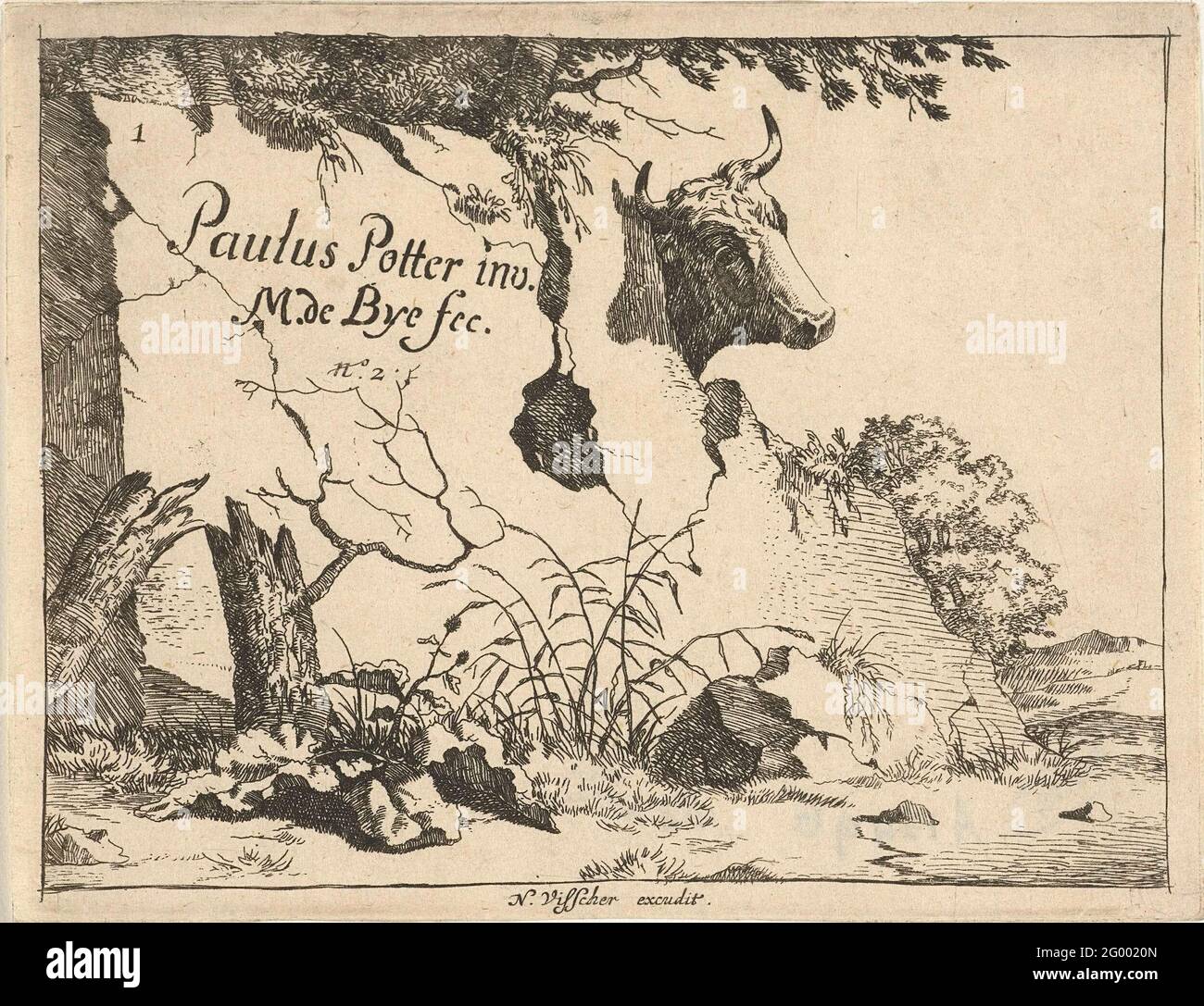 Cup of beef behind rock; Cattle and pigs Stock Photo - Alamy