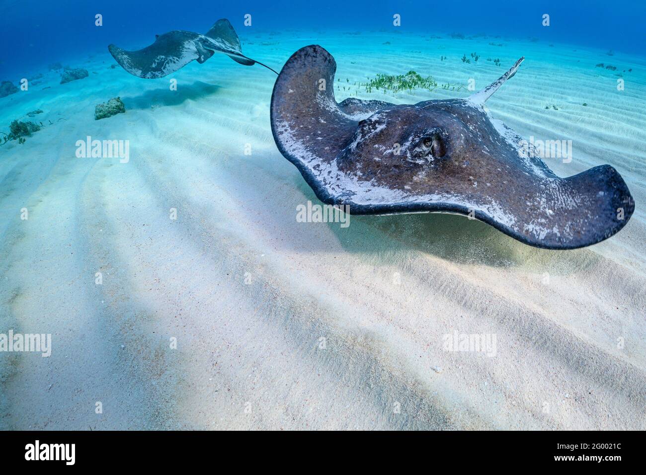 Underwater sand bar hi-res stock photography and images - Alamy