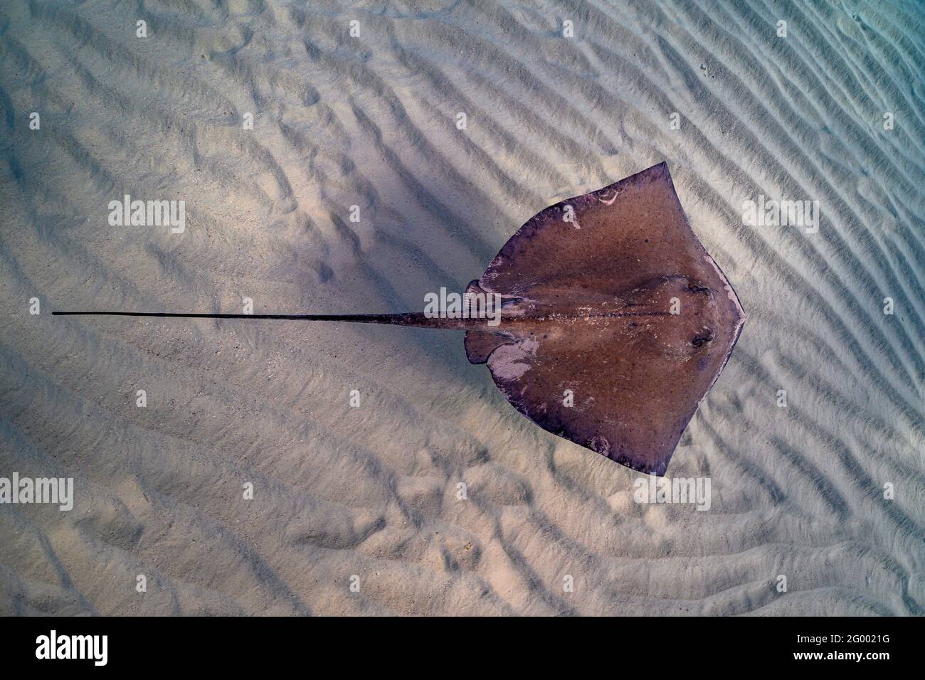 Underwater sand bar hi-res stock photography and images - Alamy