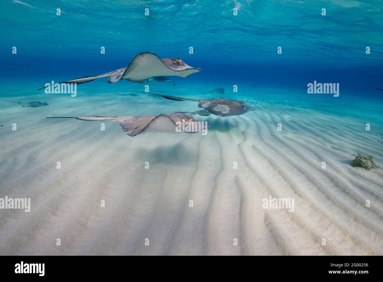 Underwater sand bar hi-res stock photography and images - Alamy