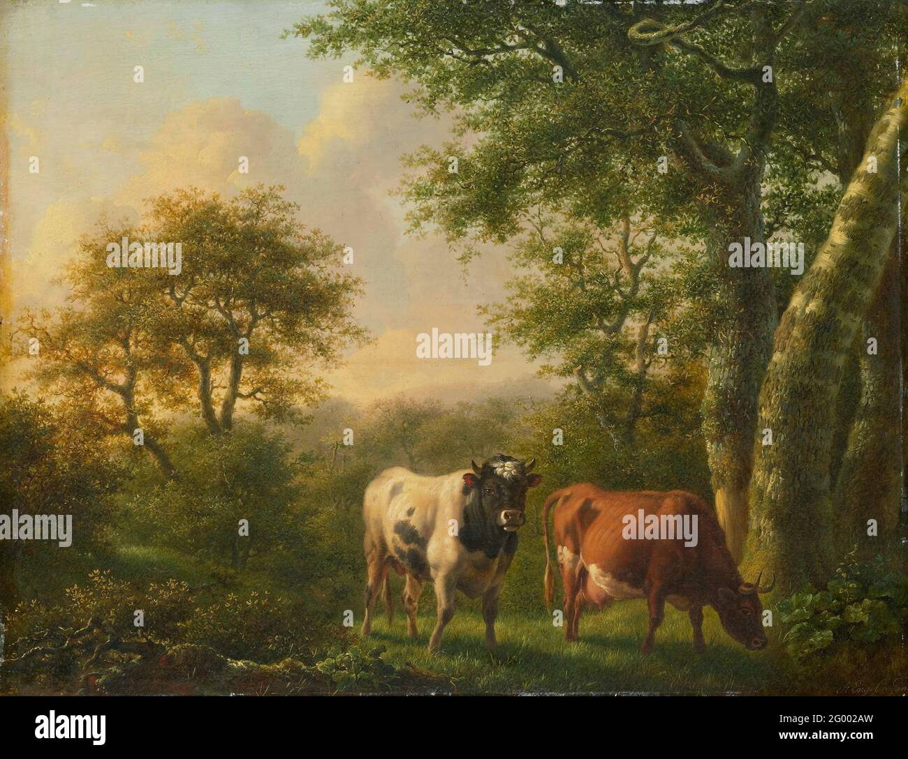 Landscape with cattle. Landscape with cattle. A cow and a bull in a ...