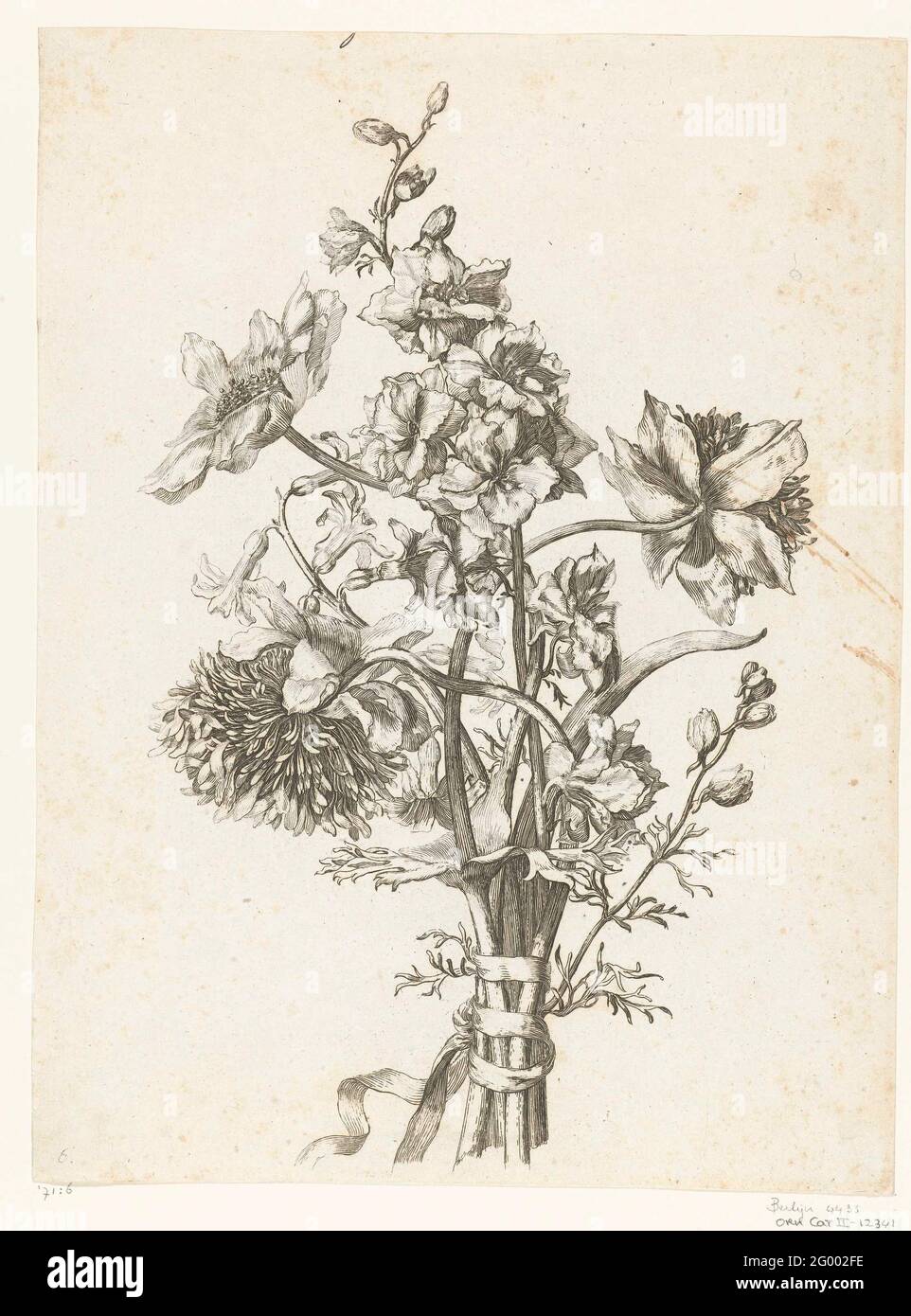 Detailed collection of various floral species hi-res stock photography ...