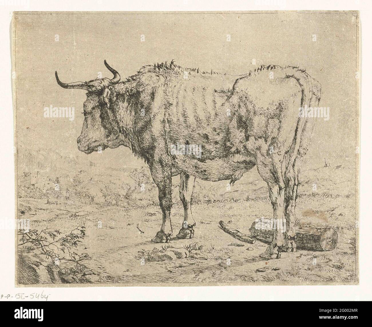 Standing bull, block wood at legs Stock Photo - Alamy