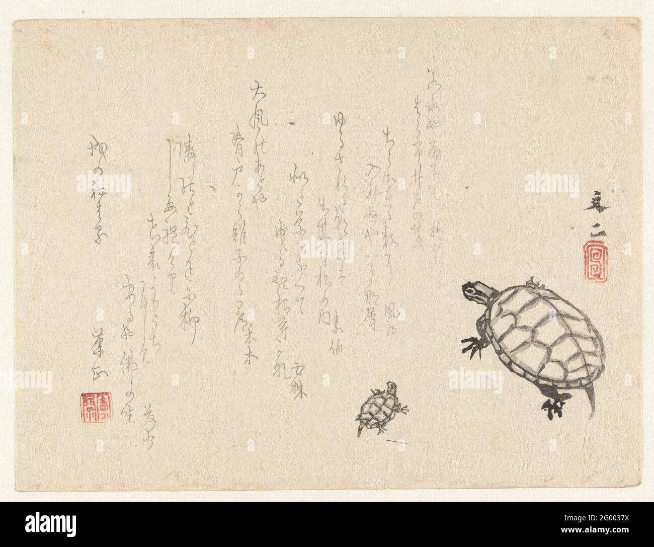 Two turtles. A large and small turtle at a poem Stock Photo - Alamy