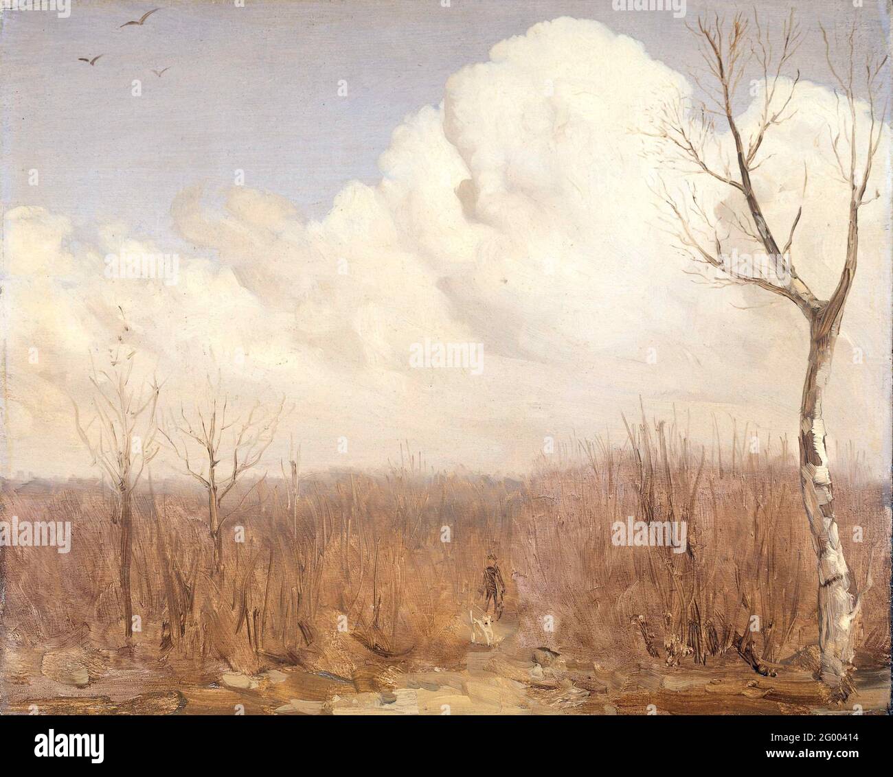 Autumn Day. Autumn day. Landscape with scrub and some trees under a ...
