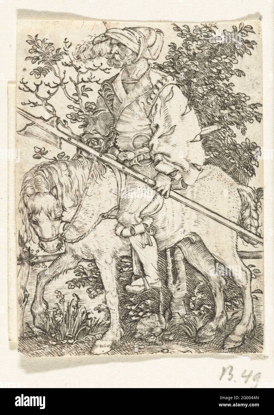 Haircut animal on horseback Stock Photo - Alamy