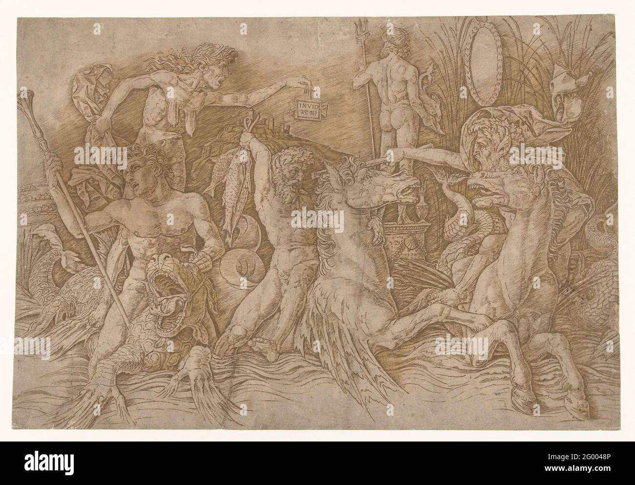 Fight between satyrs moving on hippocampuses and old woman as a ...