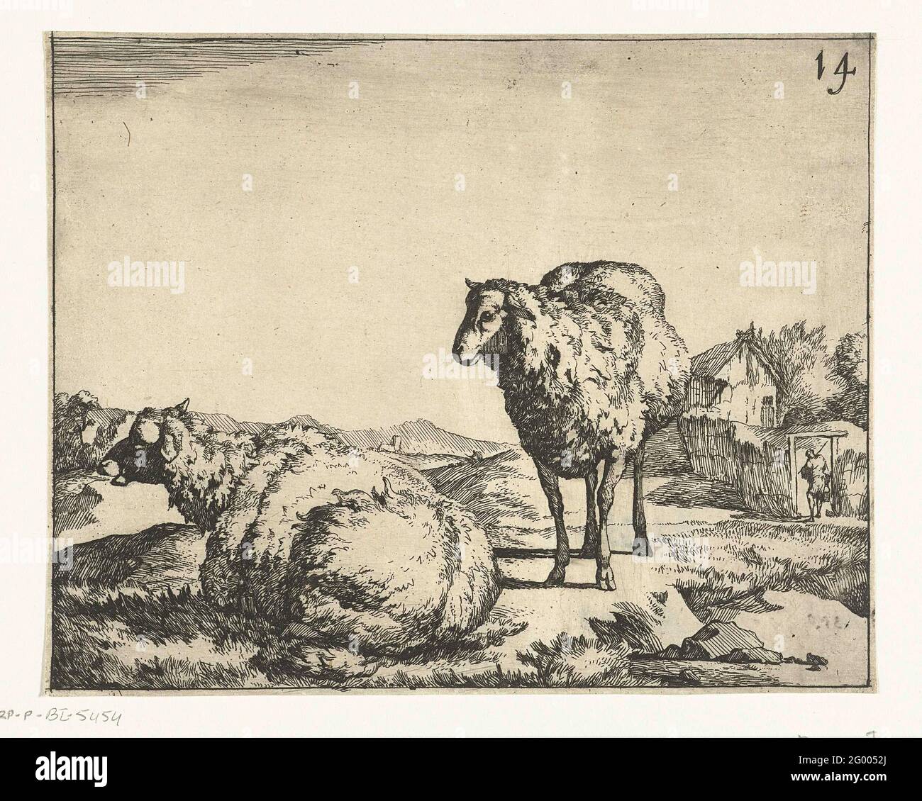 Standing and lying sheep with farm in background; Sheep Stock Photo - Alamy