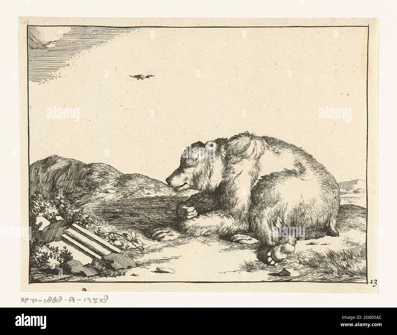 Lying bear at part of decorative frame; Bears Stock Photo - Alamy