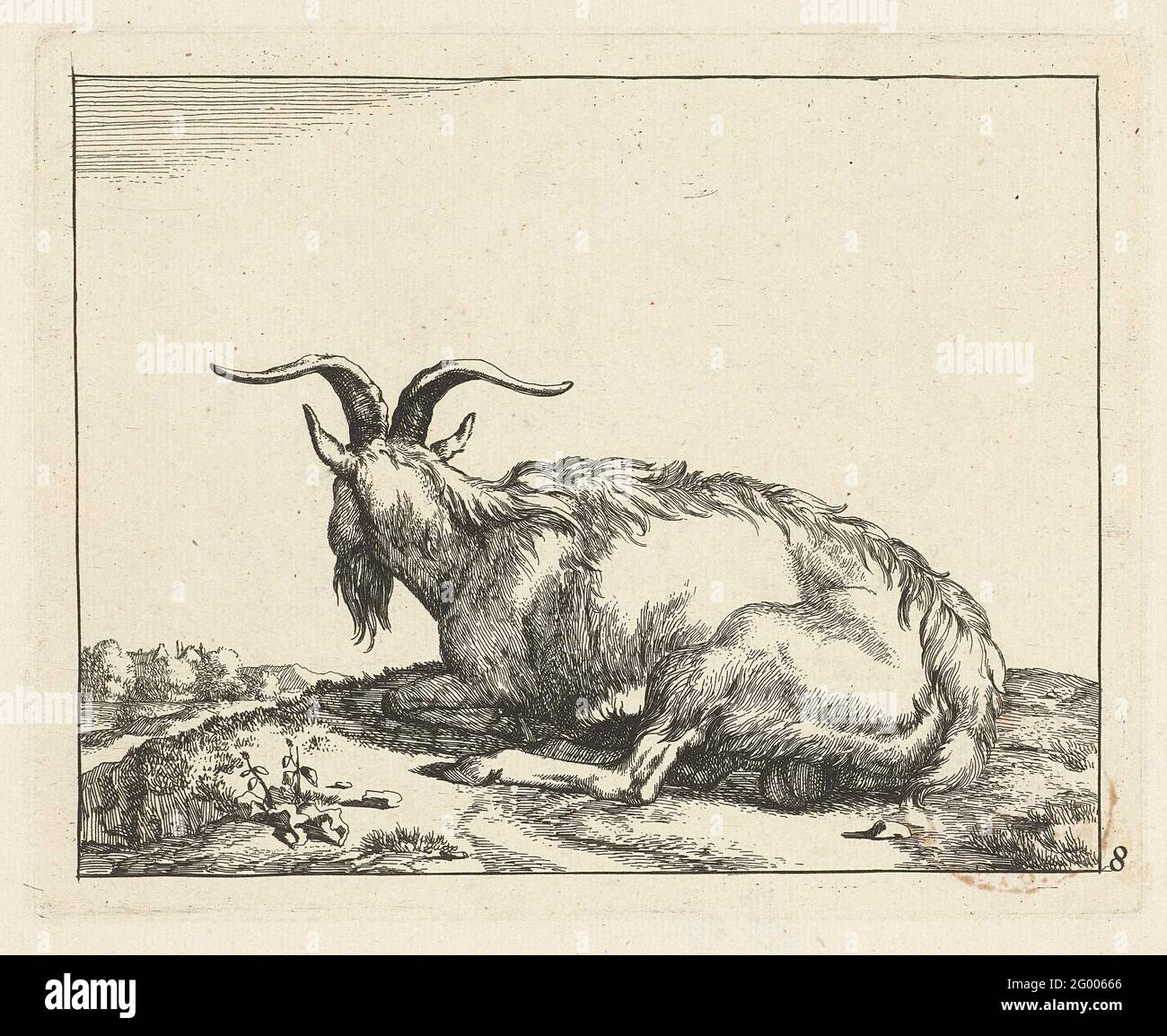 Goat horn details hi-res stock photography and images - Alamy