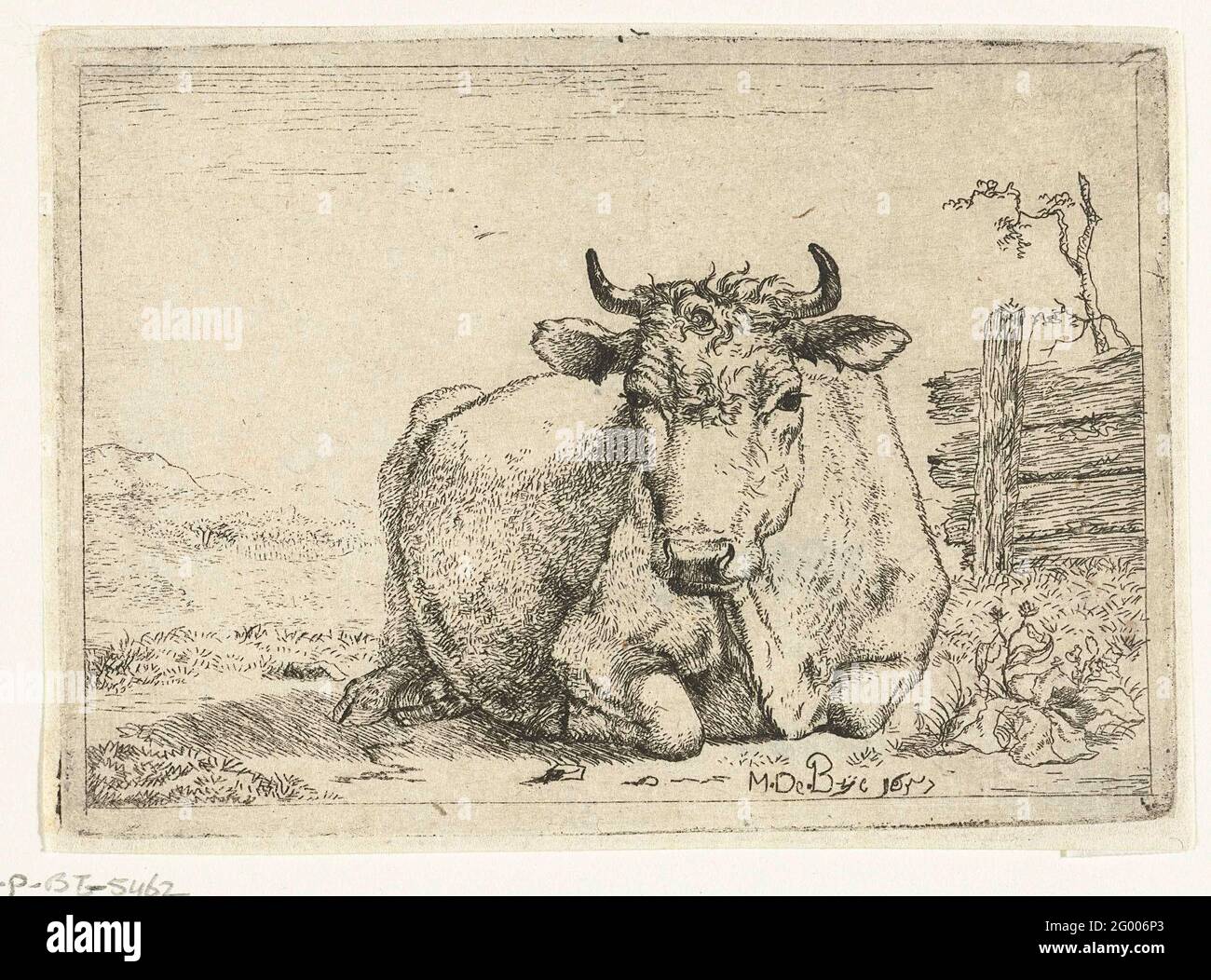 Resting cow, at fence Stock Photo - Alamy