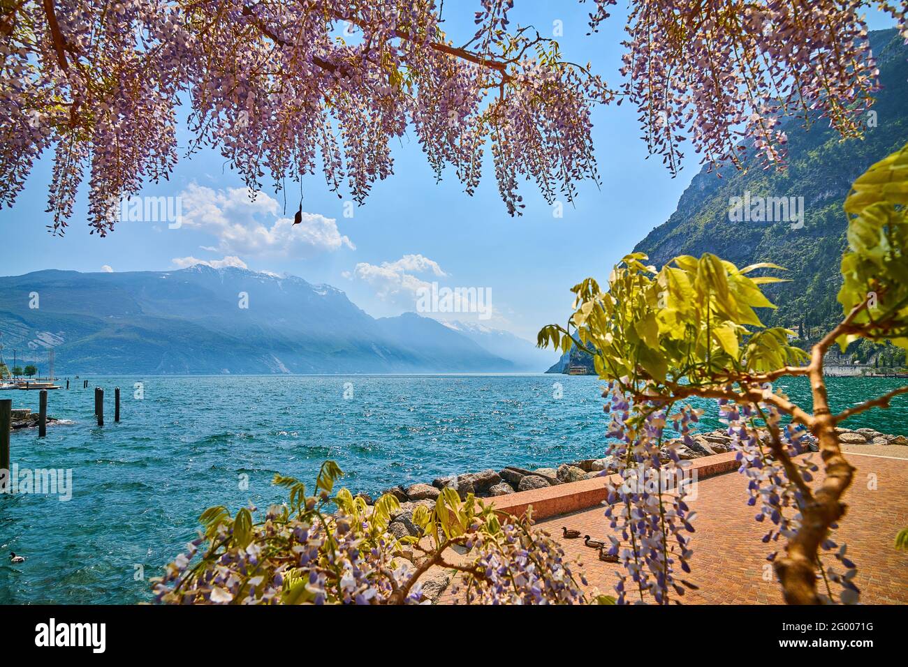 View of the beautiful Lake Garda in the springtime,Garda Lake ...
