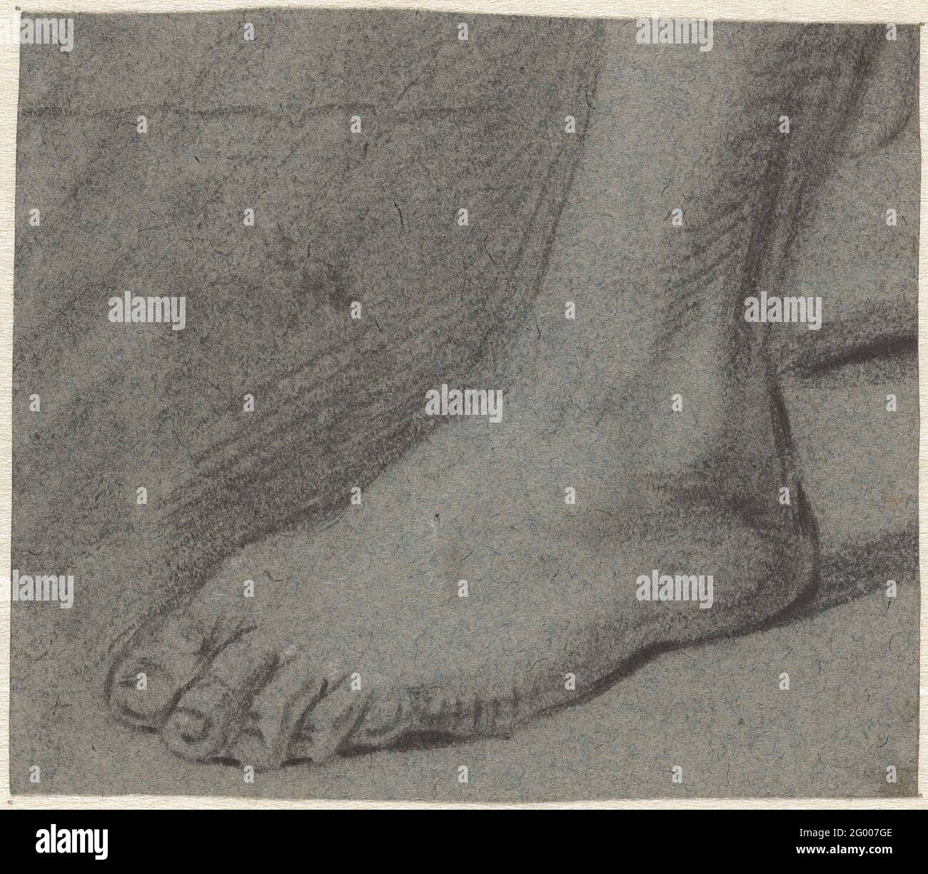 Study of a left foot Stock Photo - Alamy