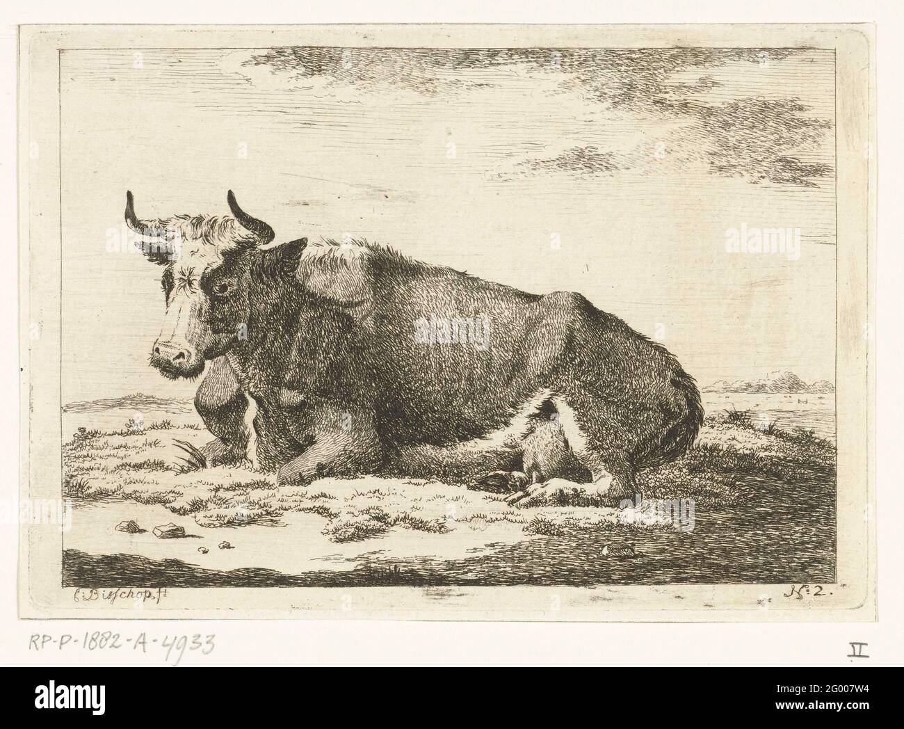 Landscape with lying cow with horns; Cows Stock Photo - Alamy