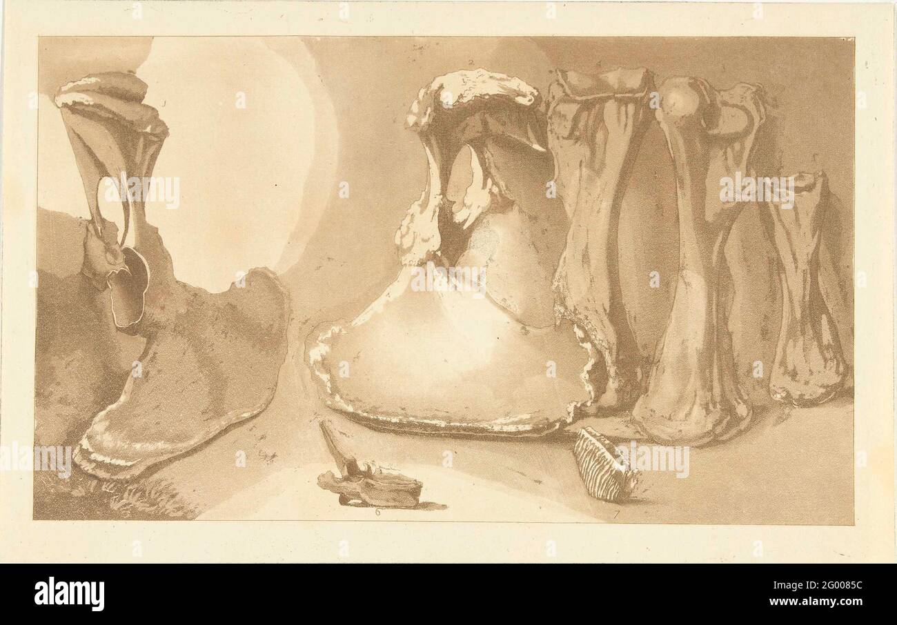 Breaking The Bones High Resolution Stock Photography and Images - Alamy