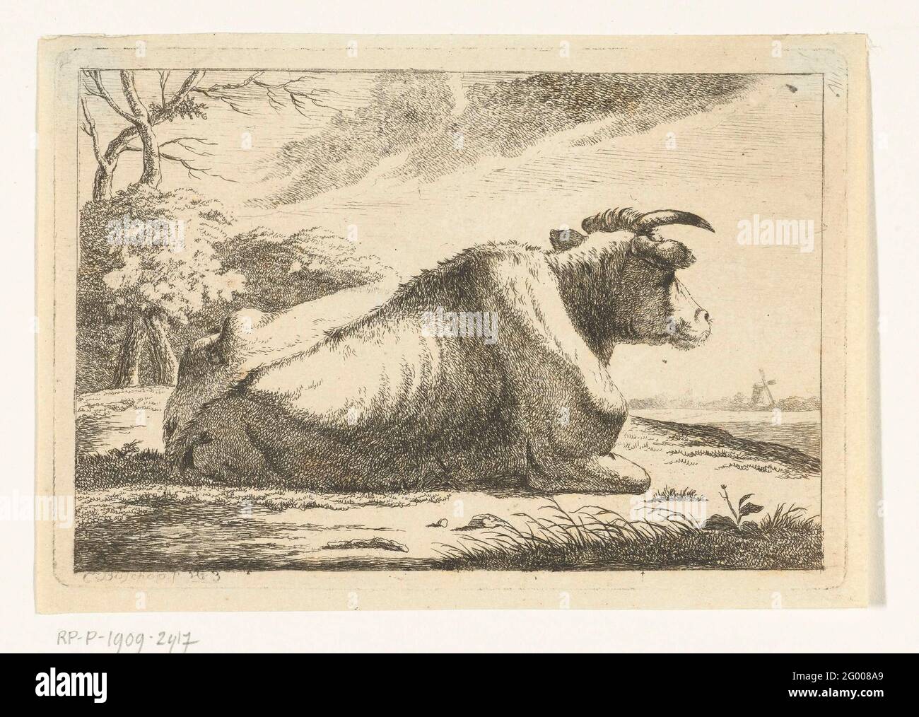 Landscape with lying cow seen on back; Cows Stock Photo - Alamy