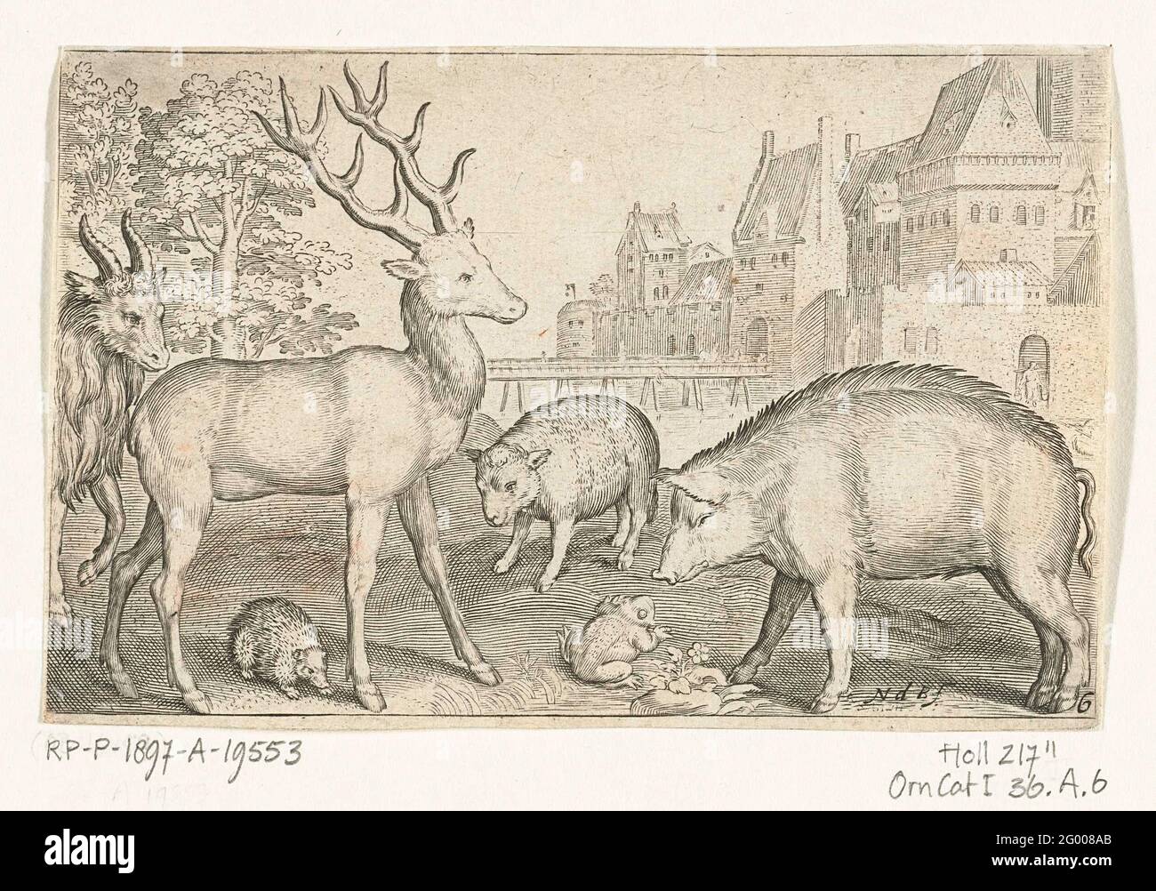 Deer, hedgehog, sheep, frog and pig; Animalivm qvadrvpedvm; Animals in ...