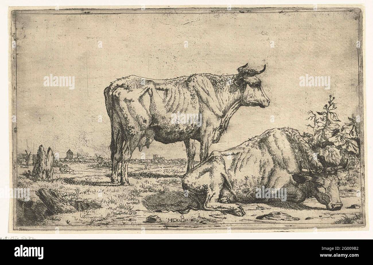 Standing and resting cow, and profil Stock Photo - Alamy