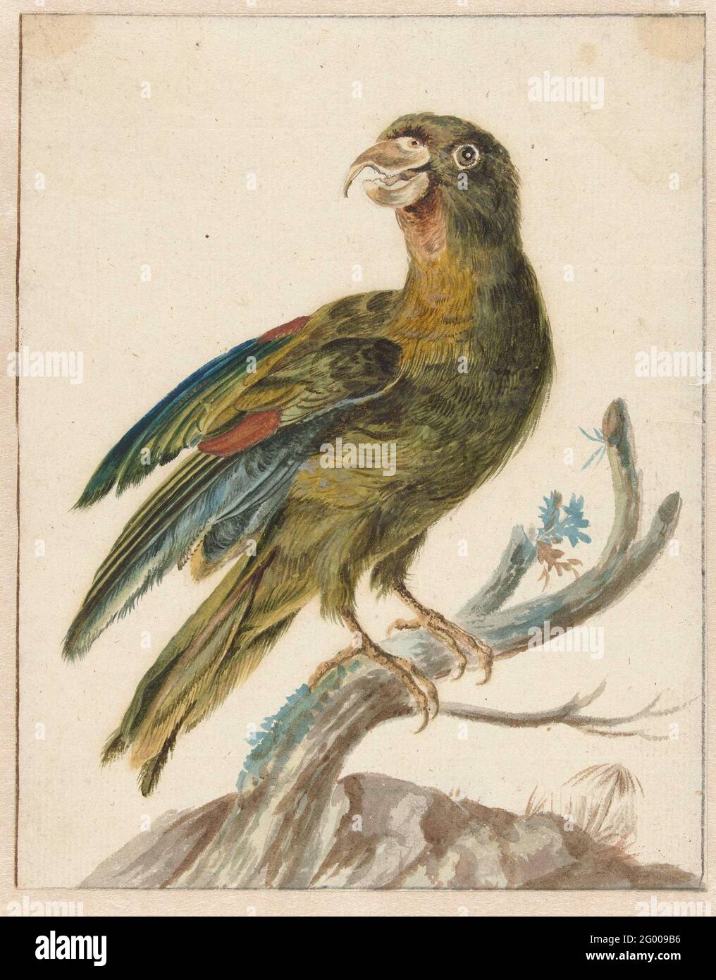 Two stuffed birds hi-res stock photography and images - Alamy