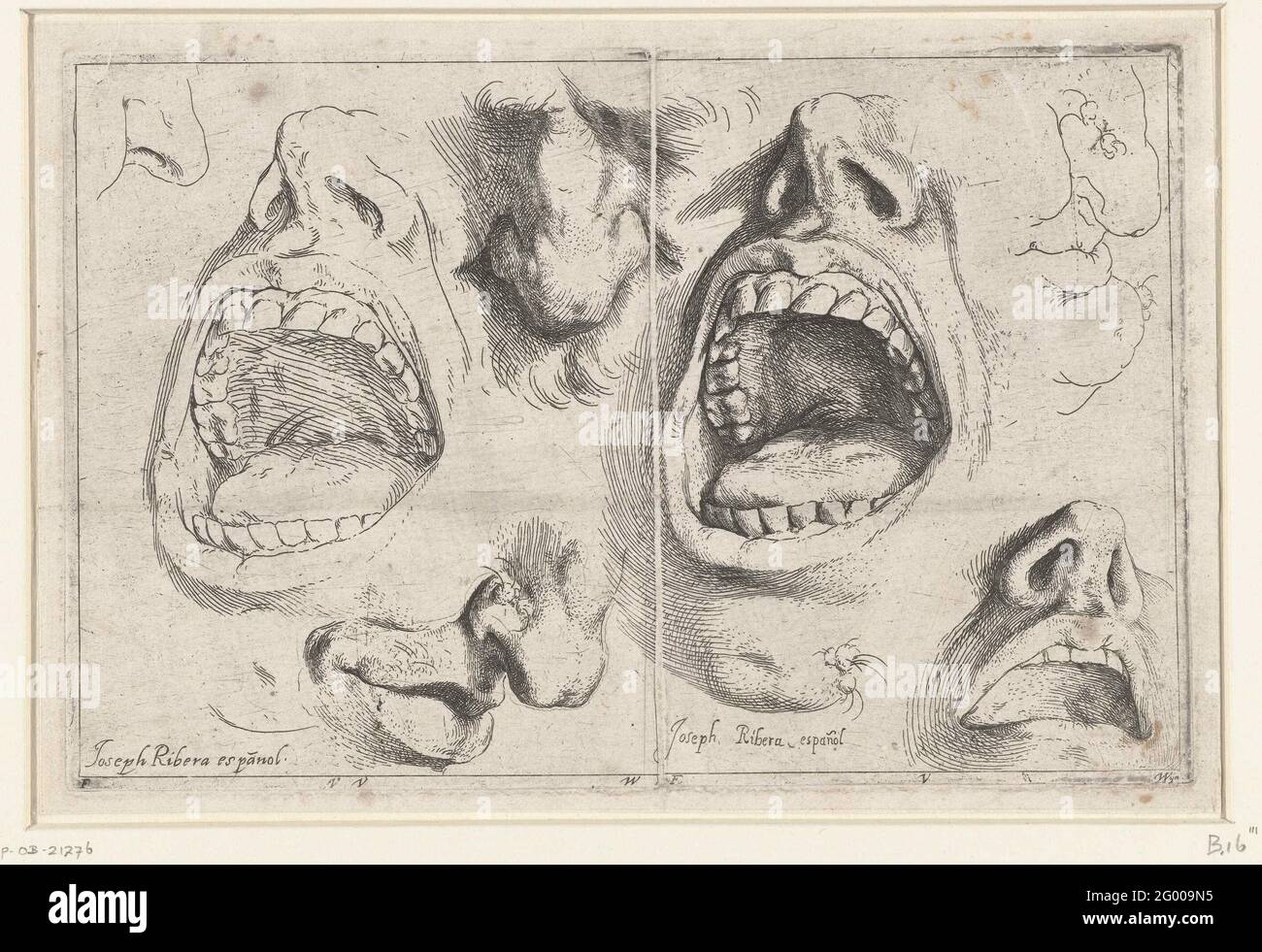 Human noses hi-res stock photography and images - Alamy