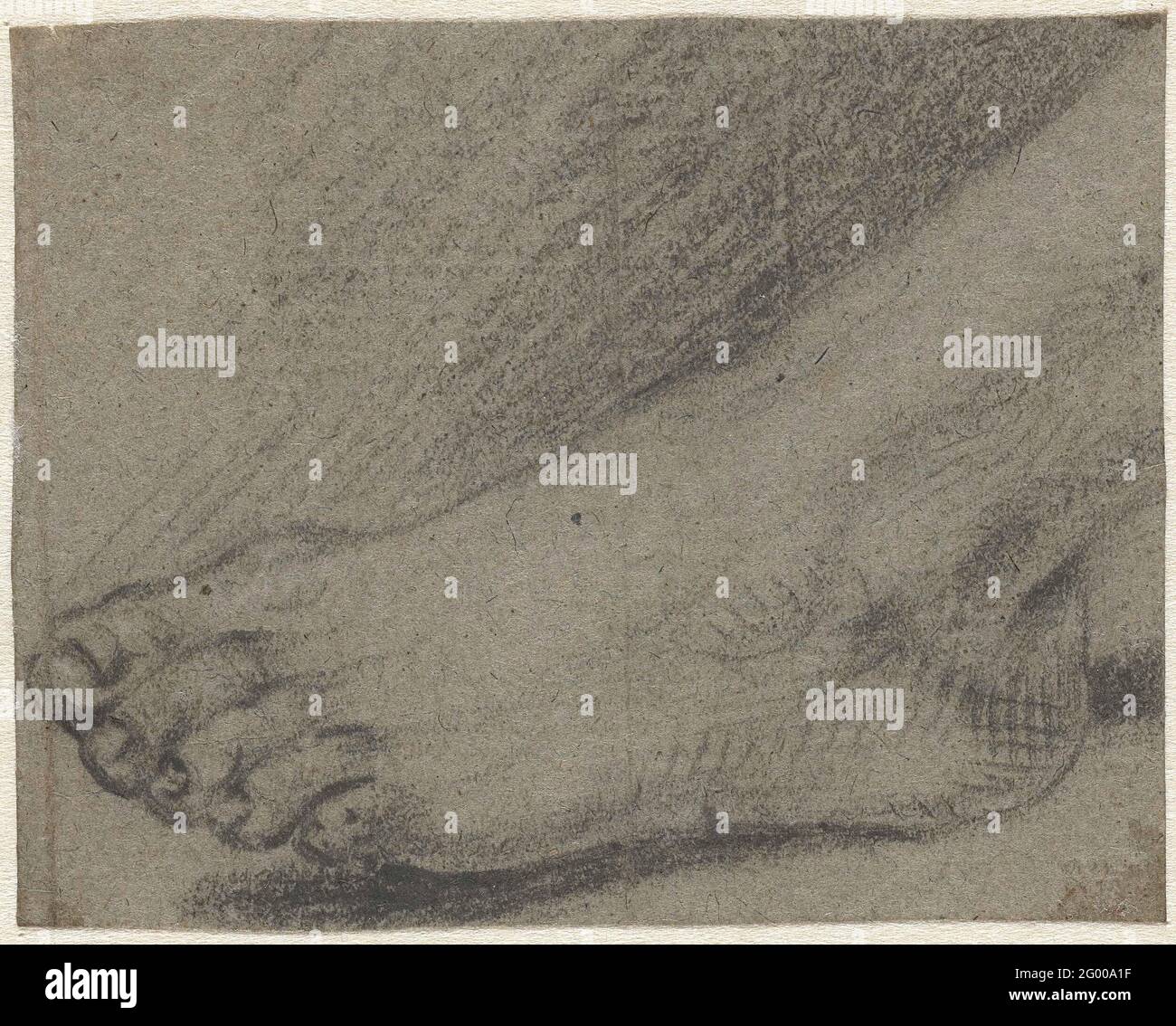 Study of a left foot Stock Photo - Alamy