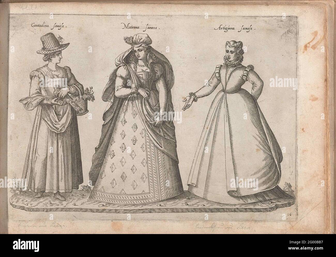 Matrona sanese hi-res stock photography and images - Alamy