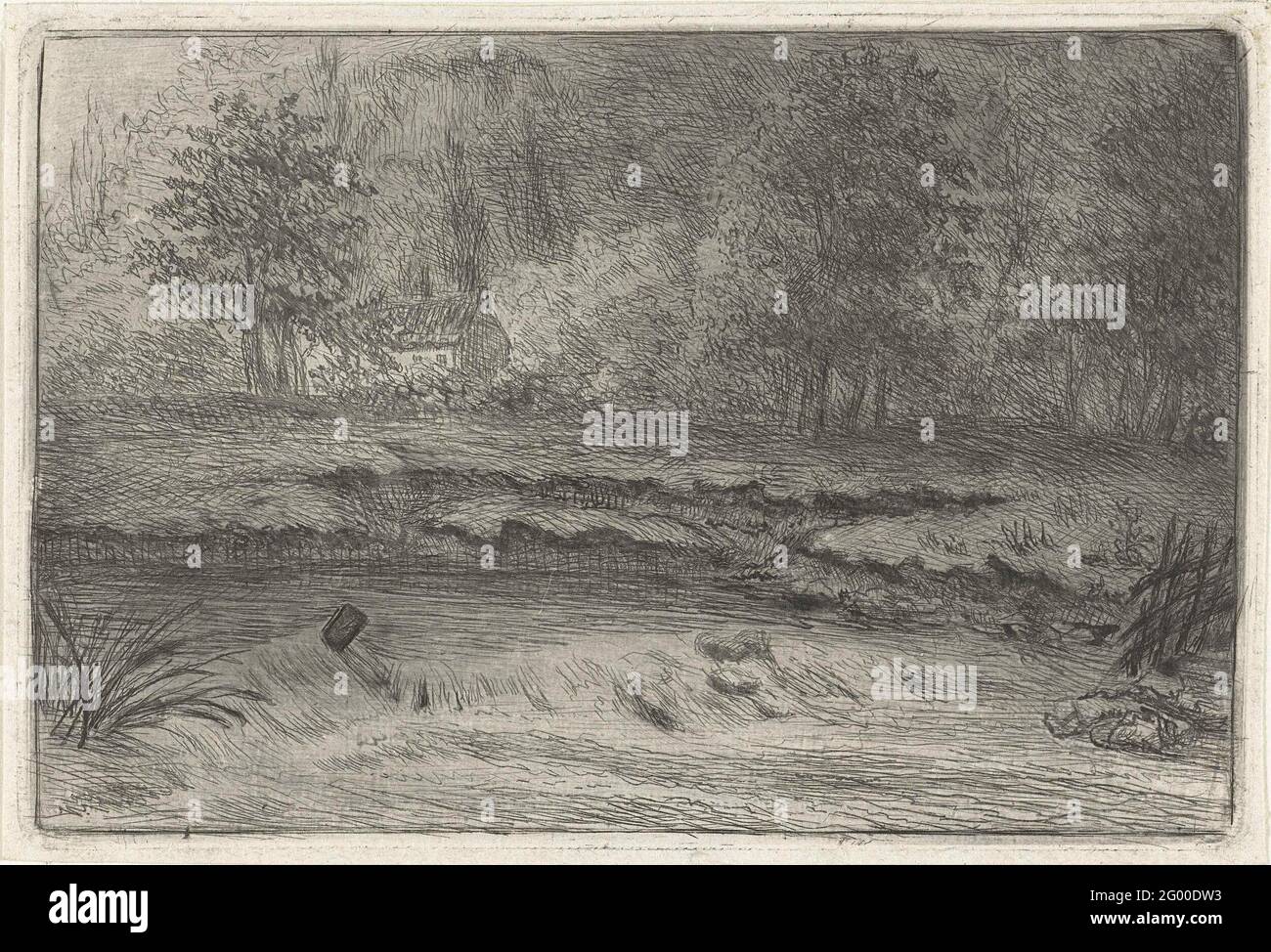 Riverbank ecosystem motion hi-res stock photography and images - Alamy