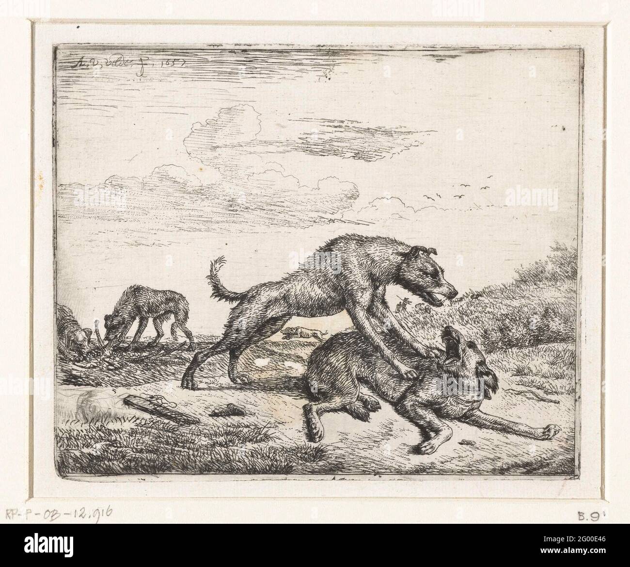 Fighting dogs; Different animals Stock Photo - Alamy