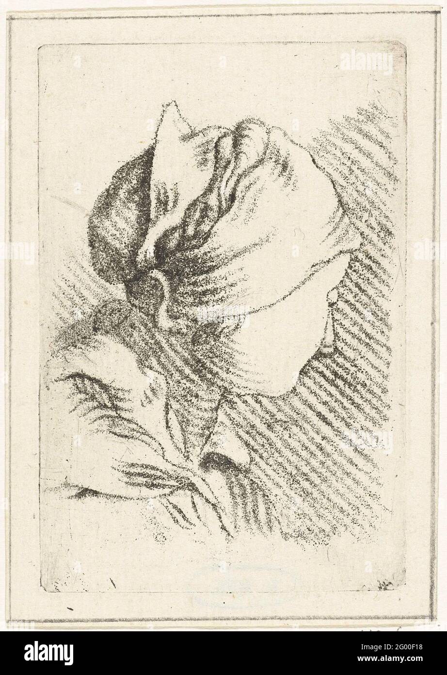 Study sheet with a woman head with headscarf Stock Photo - Alamy