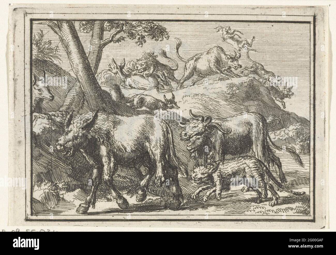 Title page for the leaflet: the cremone shone, 1702; The cremone shone ...