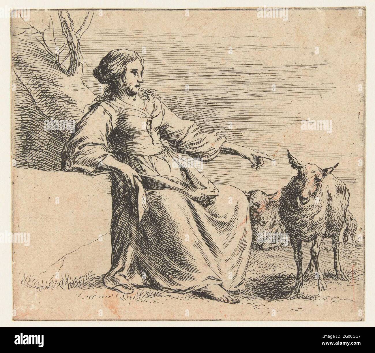 Animalia Ad Vivum Delineata Et Aqua Forti Aeri Impressa Studio High ...