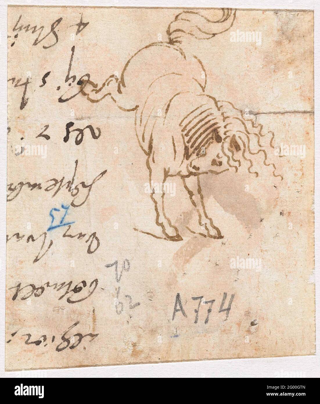 Reverse Leand Horse Stock Photo - Alamy